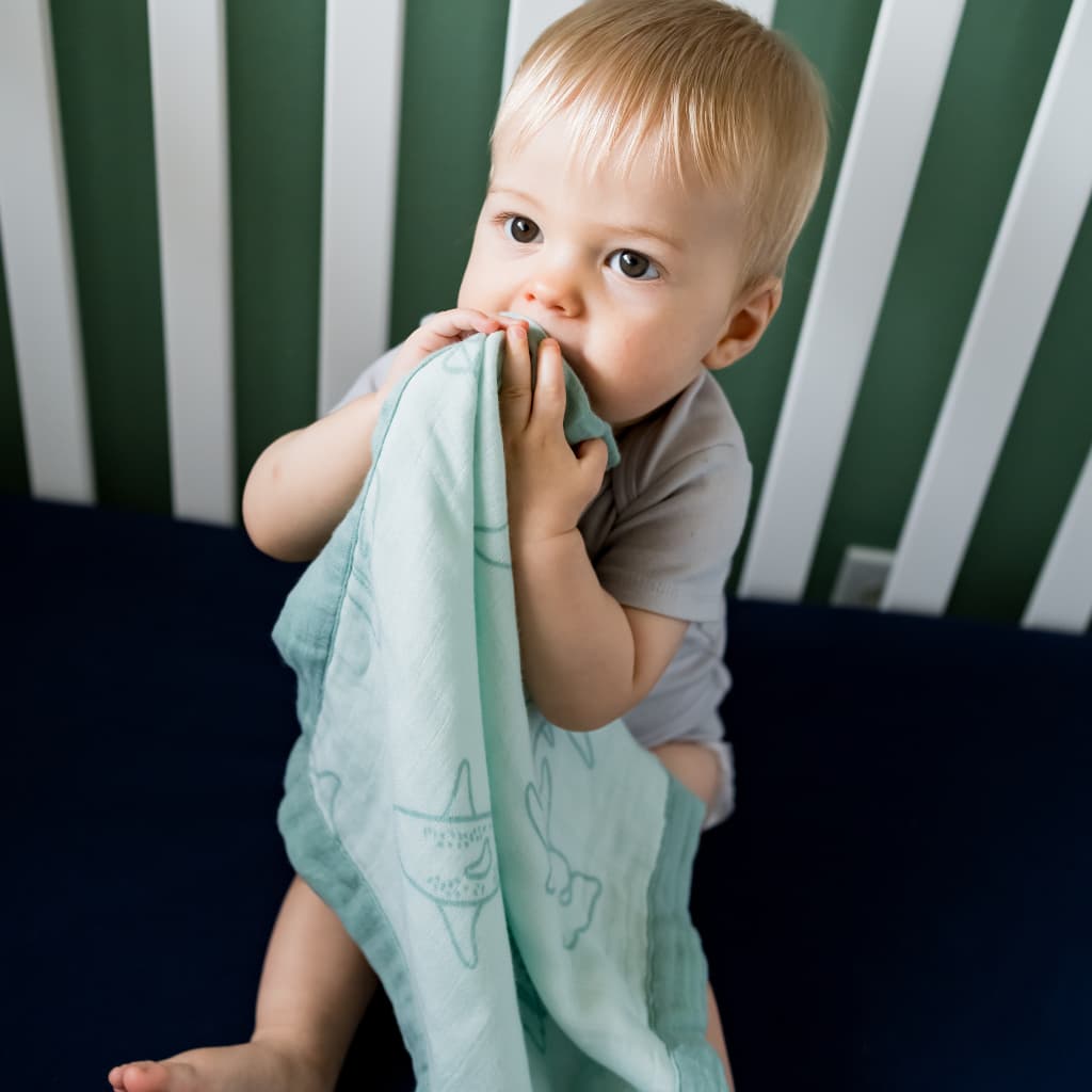 Baby Security Blankets - Coco Moon Hawaii